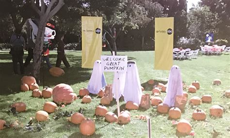 Abc Television Network — Tami Carlson