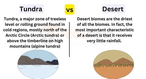 Difference Between Tundra And Desert Biome