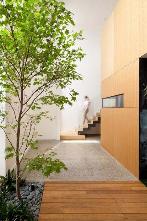 Northcote 2 Picture Gallery Indoor Tree In Modern Home Tree In