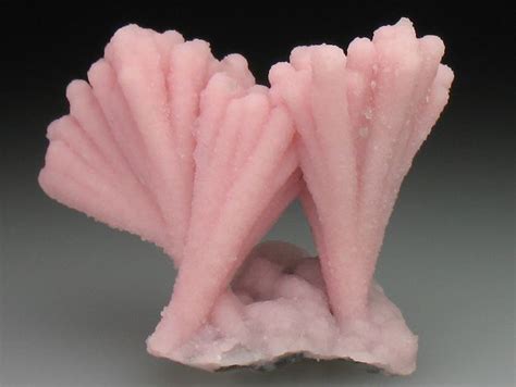 Geology Nerd Crystals Minerals Minerals And Gemstones Minerals Crystals Rocks