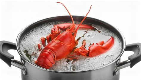 image of Firefly Realistic lobster in boiling water on white background. 48665644 Stock Photo at ...