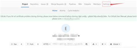 gitlab允许开发人员推送到master分支 gitlab devloper 怎么push master分支 csdn博客