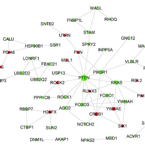 ppi network analysis the ppi network consisting of 130 nodes and 61