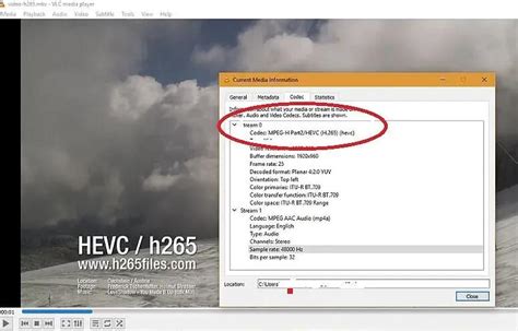 Vlc Not Play H 265 How To Play H 265 Hevc In Vlc Correctly Medium Hunter