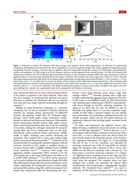 Solution Rapid Ultrasensitive Single Particle Surface Enhanced Raman
