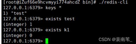 Redis 中键值对的常用命令 附有示例redis查看所有键值对 Csdn博客