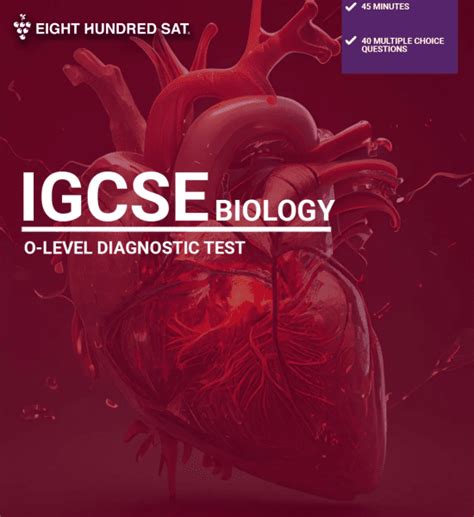 Igcse O Level Diagnostic Tests Archives 800 Sat Test Prep For Sat