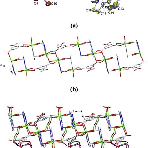 Crystal Structure Of 2 A A Local View With Atom Labeling Of The