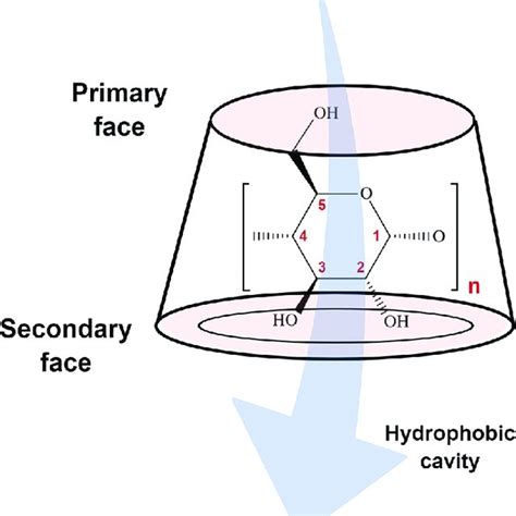 Schematic Illustration Of The 3d Structure Of Cyclodextrin Cd The Cd Download Scientific