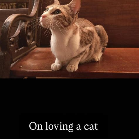 Shruti Sonal Shruti Writes • Instagram Photos And Videos