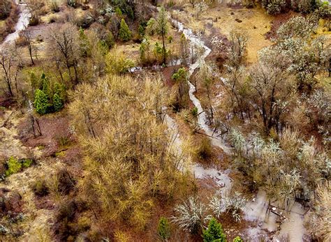 Floodplain Connectivity Rrwc
