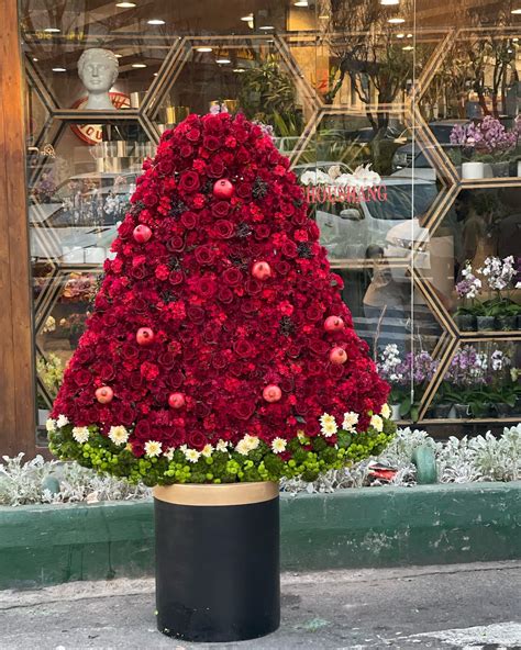 ‎گُل هوشنگاhoushangflower‎ Houshangflower • Instagram Photos And Videos