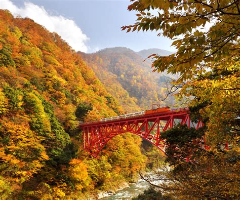 宇奈月温泉旅館協同組合[富山県 黒部市] 清らかな湯と、山の幸から海の幸、大自然に癒される