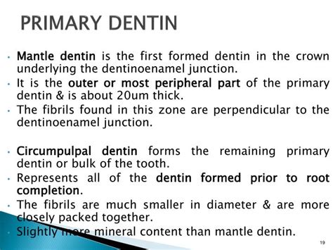 Ppt Dentin Powerpoint Presentation Id 835637