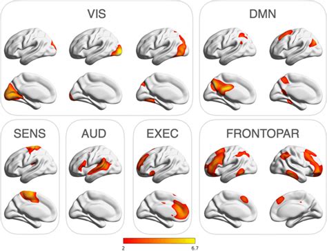 The 10 Ica Networks Identified Based On Spatial Correlations 3 With