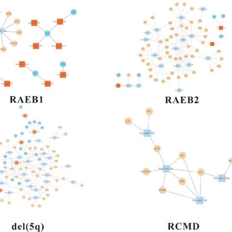 Mirna Mrna Interaction Networks In Different Subtypes Of Mds Were