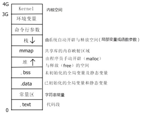 C语言变量and常量 Csdn博客