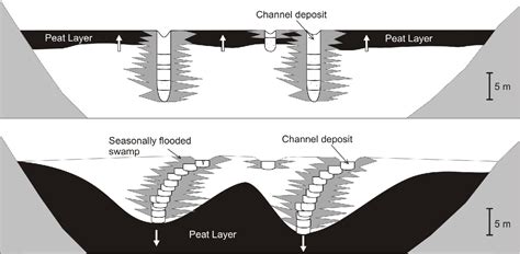 Sedimentological Correlation Of Heterogeneous Reservoir Rocks Effects Of Lithology