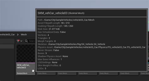 empty skeletal mesh r unrealengine5