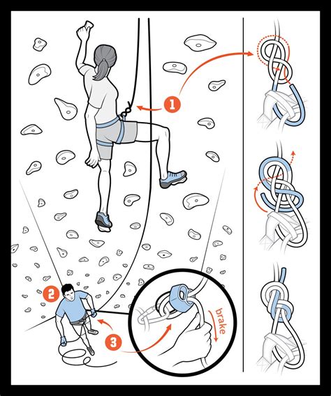Rock Climbing Skills And Techniques