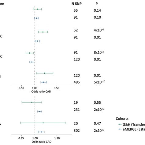 Model Discrimination And Net Reclassification Index For Coronary Artery