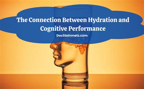 The Connection Between Hydration And Cognitive Performance