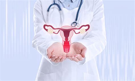 Labiaplasty I Nefertiti