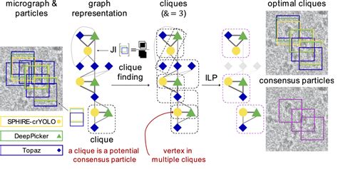 consensus is key reliable cryo em particle picking leveraging multiple