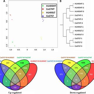 Global Analysis Of Microarray Data Figures A And B Show The High Download Scientific Diagram