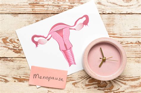 Menopause And Sexuality Haven Psychology