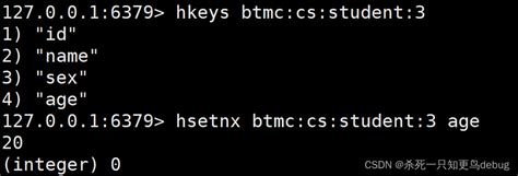 redis基本数据结构StringHashSetListSortedSet学习笔记 阿里云开发者社区