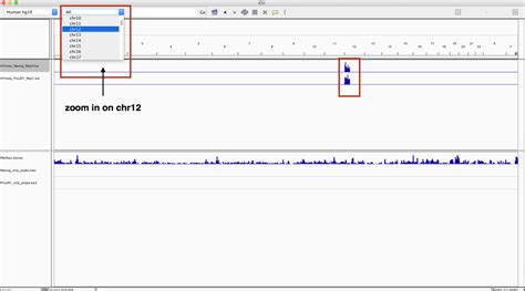 Qualitative Assessment Of Peaks In Depth Ngs Data Analysis Course