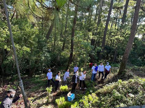 Adopt A Forest Program