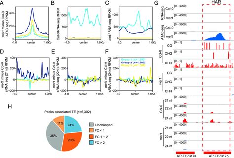 Chromatin Accessibility And Transcription A Metaplot Of Atac Seq