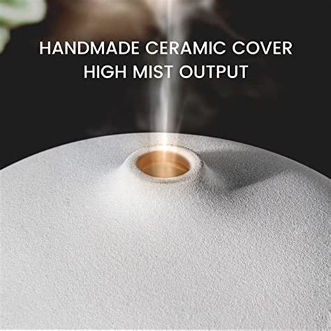 The 6 Best Wanlola Diffusers Of 2024 Verified Cherry Picks