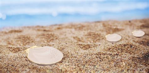 Fine Porcelain - Porcel - Porcelain Solutions