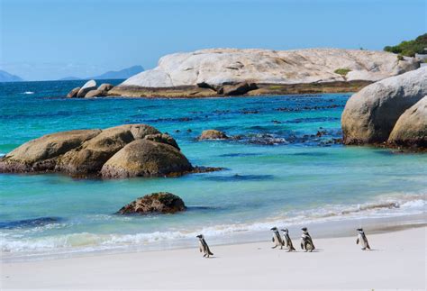 Zuid Afrika Reizen 333travel