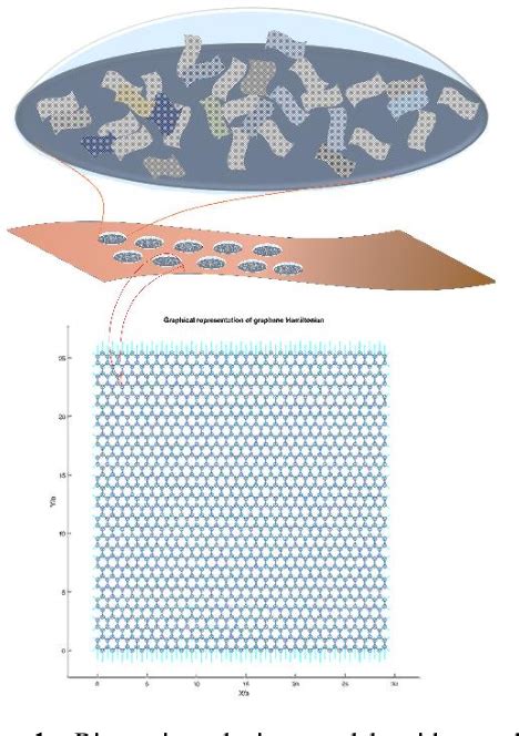 Figure From COMSOL Multiphysics Simulation Of Functionalized D Biocompatible Porous