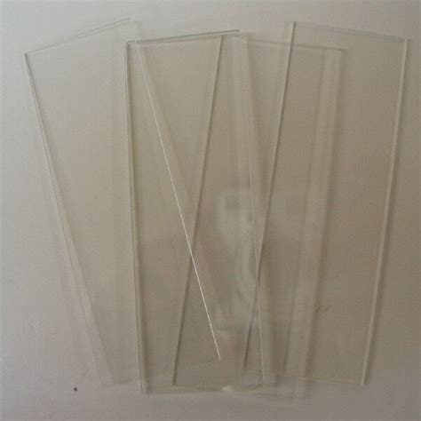 Microscope Slides Etsy