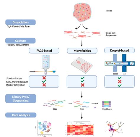Table 1 From Perspectives On Bulk Tissue RNA Sequencing And Single Cell RNA Sequencing For