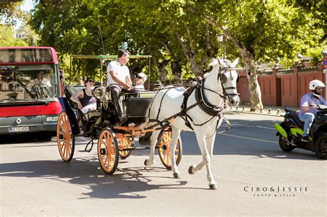 2024塞维利亚大学游玩攻略 老城区的建设任然保存着中世 【去哪儿攻略】