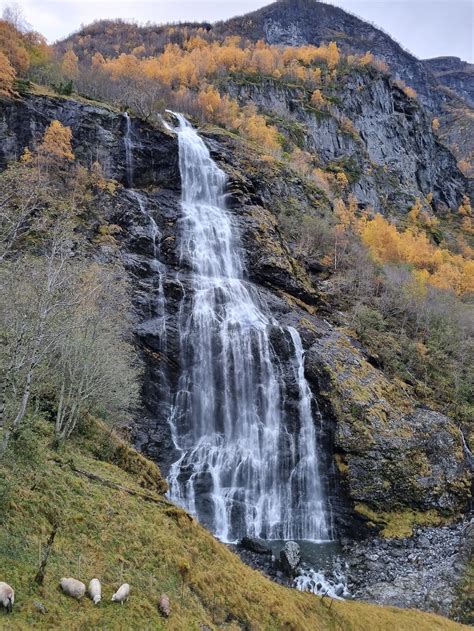 08화 8 노르웨이 설국열차
