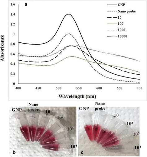 A Uv Visible Absorbance Spectra Of Plasmonic Nanobioprobe Conjugated Download Scientific