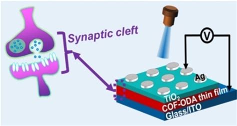 one‐dimensional covalent organic framework‐based multilevel memristors
