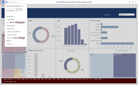 Microstrategy Dashboard User Reference Guide