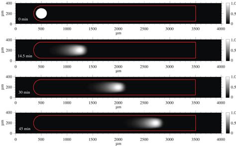 Wave Propagation On Reaction Diffusion Waveguide With 35 Nm Sink