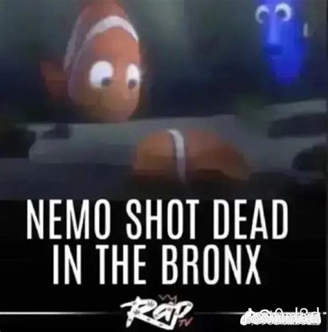 Nemo Shot Dead In The Bronx Ifunny