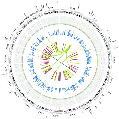 Variations Detected By Whole Exome Sequencing In All Samples Download Scientific Diagram