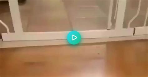 The Greatest Jump Ever Album On Imgur