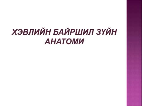 2 р баг хэвлийн байршил зүйн анатоми Pptx
